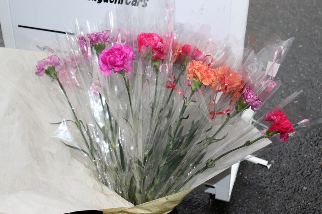 33 | フォーミュラ Enjoy